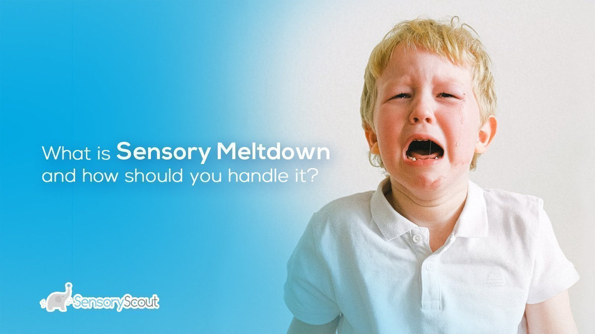 What Is a Sensory Meltdown, And How Should You Handle It? – NeuroBrocc