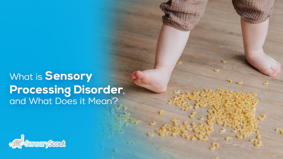 What is Sensory Processing Disorder, and What Does it Mean? – NeuroBrocc