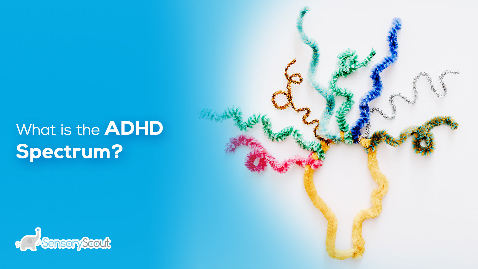 What is the ADHD Spectrum? – NeuroBrocc